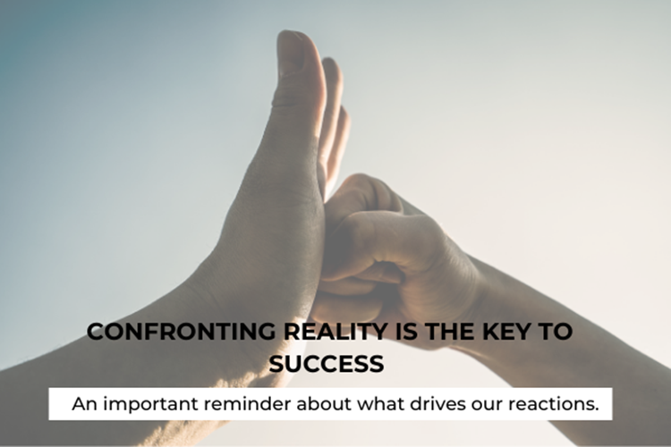 Confronting reality is the key to success | Kaibizzen